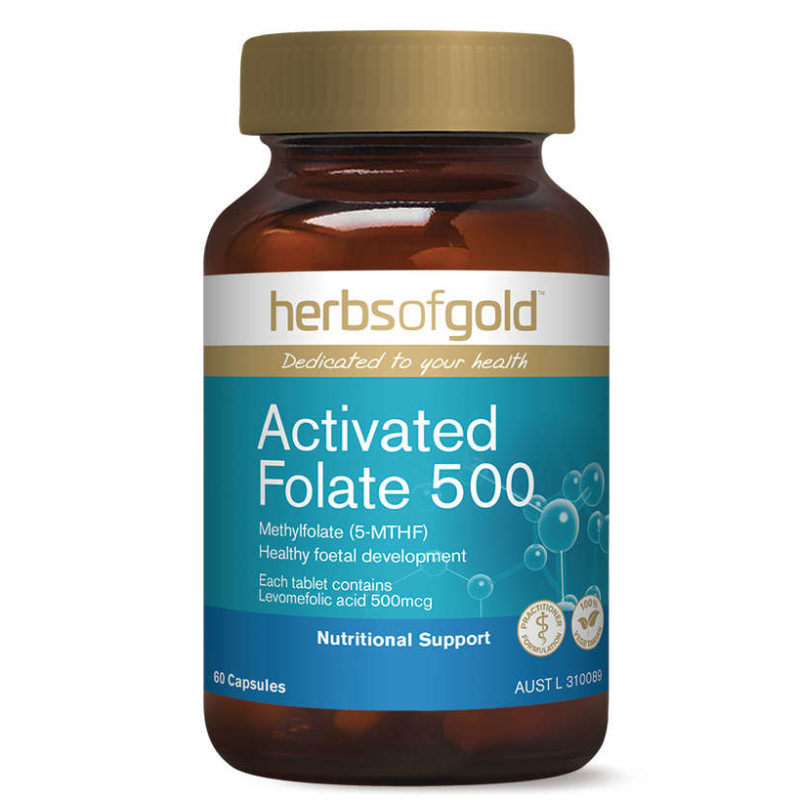 Herbs of Gold - Activated Folate 500 - Go Vita Thornton